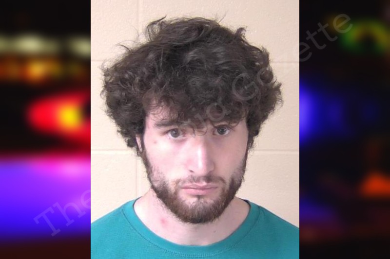 Xander Elswick — Walker County Jail Bookings