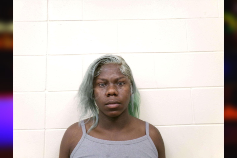 Cameron Everett — Bulloch County Jail Bookings