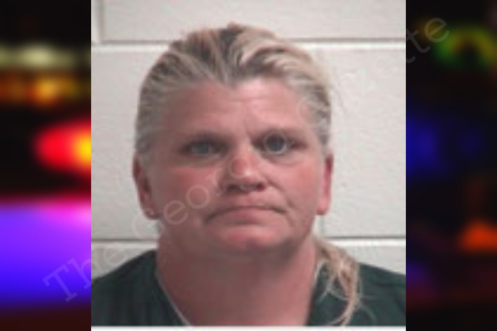Cynthia Finch — Henry County Jail Bookings