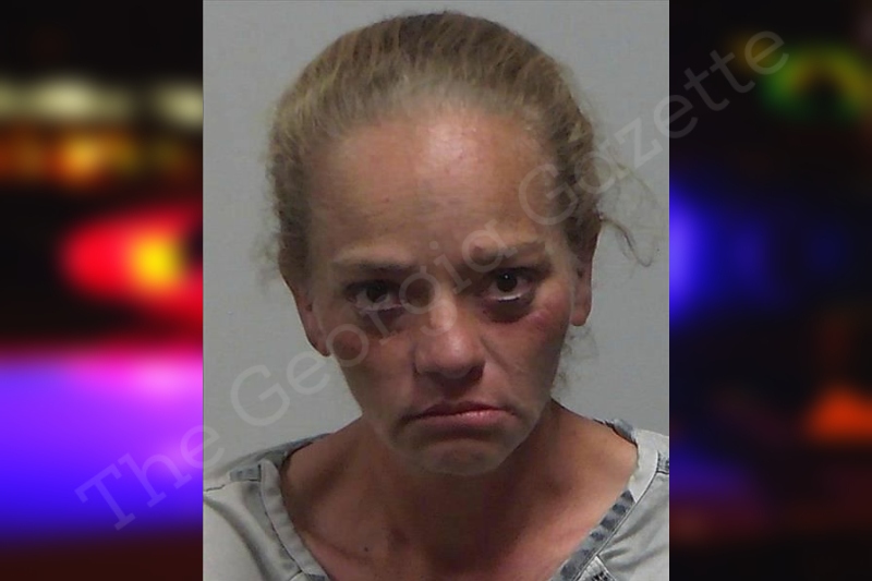 Sheena Fender — Tift County Jail Bookings