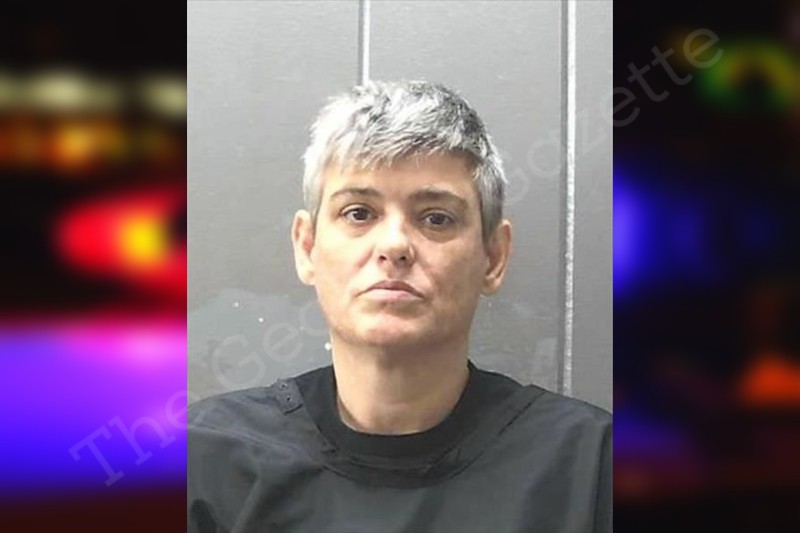 Heather Flippin — Hart County Jail Bookings