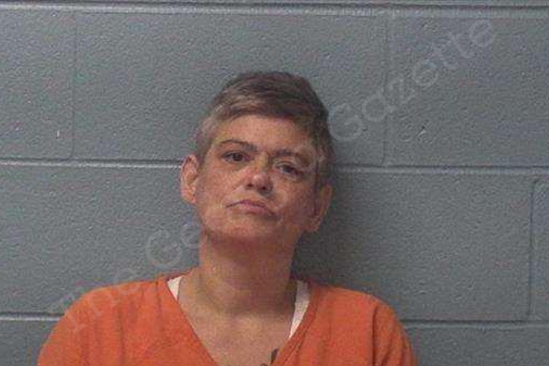 Heather Flippin — Franklin County Jail Bookings