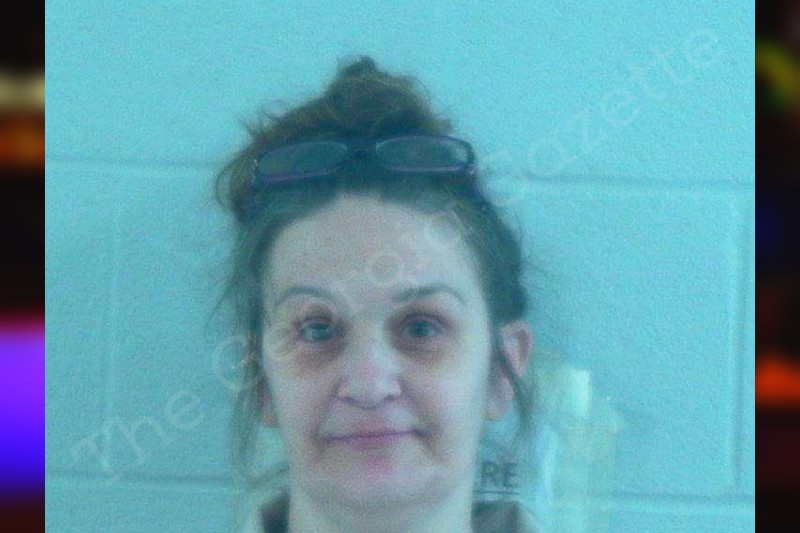 Tiffany Goodson — Stephens County Jail Bookings