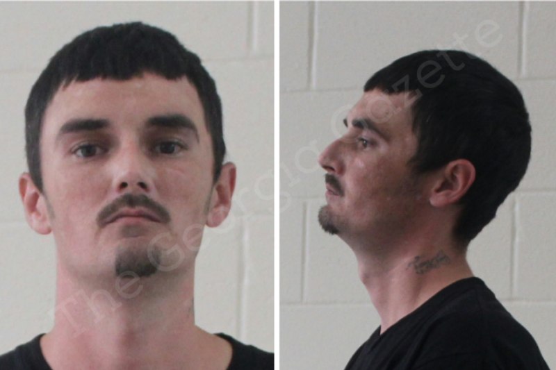 Michael Gulledge — Houston County Jail Bookings