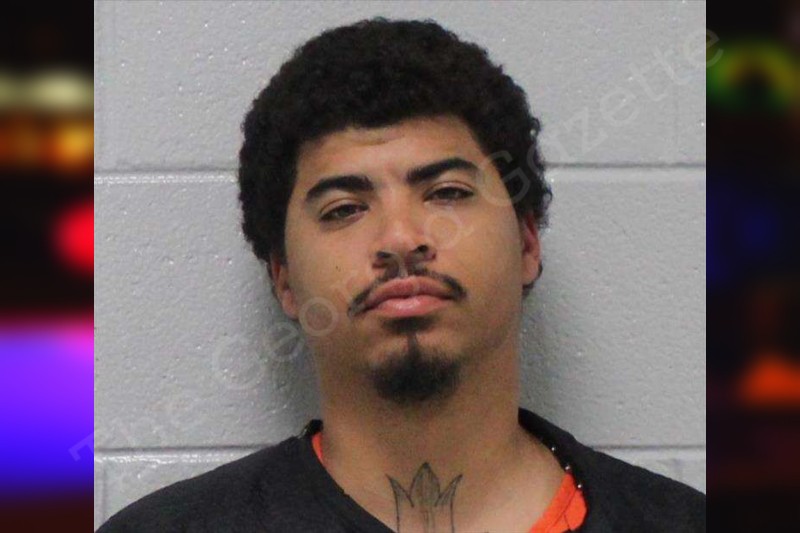 Marvin Hamilton — Carroll County