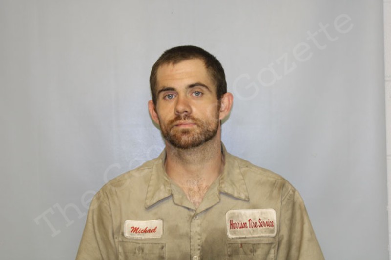 Michael Helton — Hall County Jail Bookings