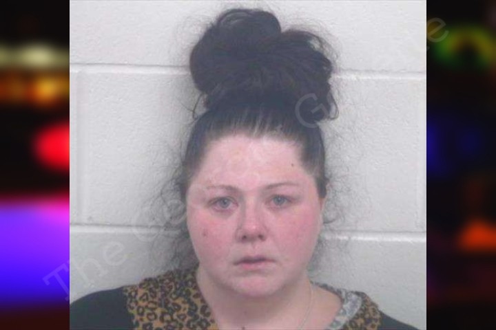 Lauren Hendricks — Washington County Jail Bookings