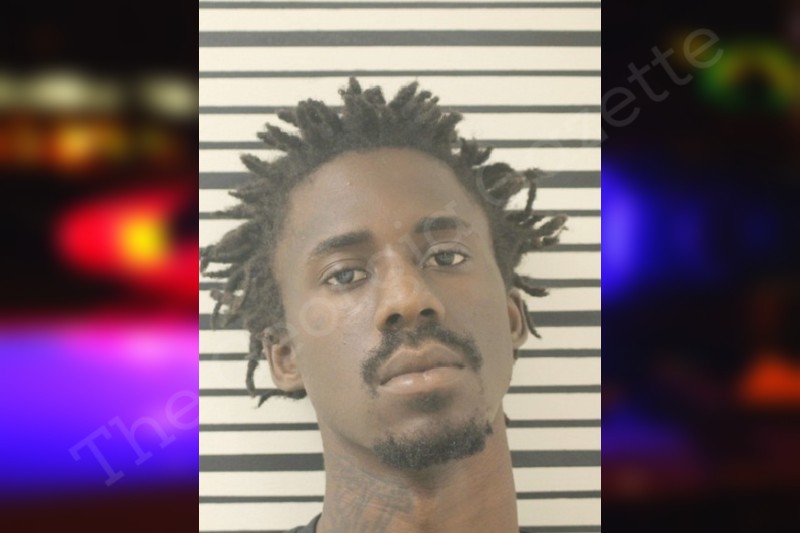Brandon Horne — Toombs County Jail Bookings