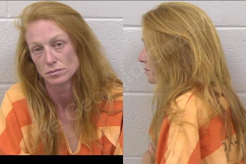 Jamie Hamm — Paulding County Jail Bookings