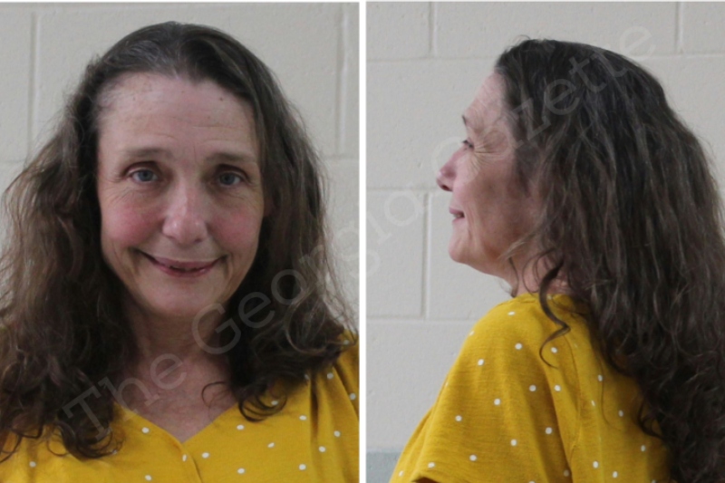 Amy Heaton — Houston County Jail Bookings