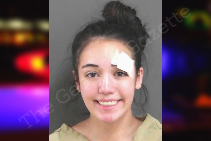 Jadison Holbert — Gordon County Jail Bookings