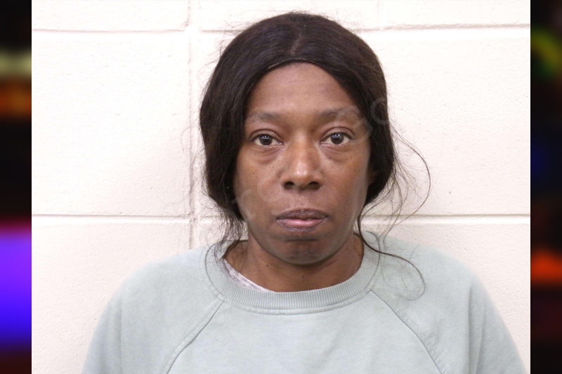 Nataya Holmes — Bulloch County Jail Bookings