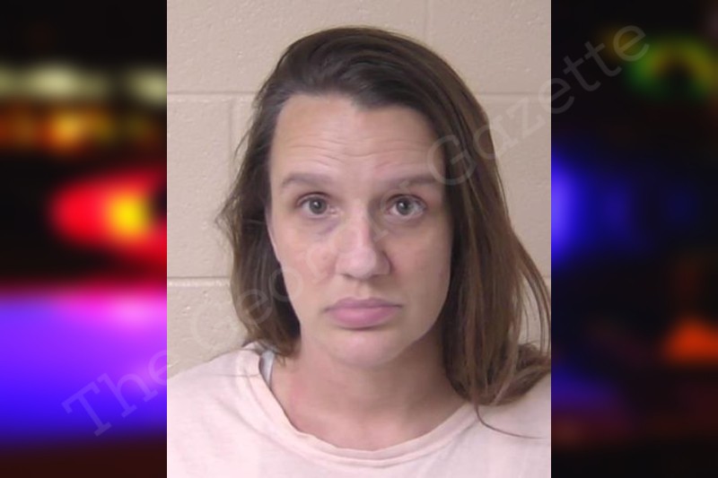 Kandice Hood — Walker County Jail Bookings