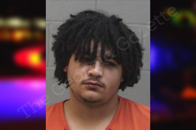 Austin Horn — Madison County Jail Bookings