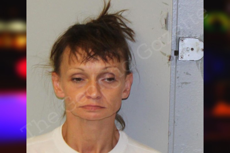 Jennifer Ray — McIntosh County Jail Bookings