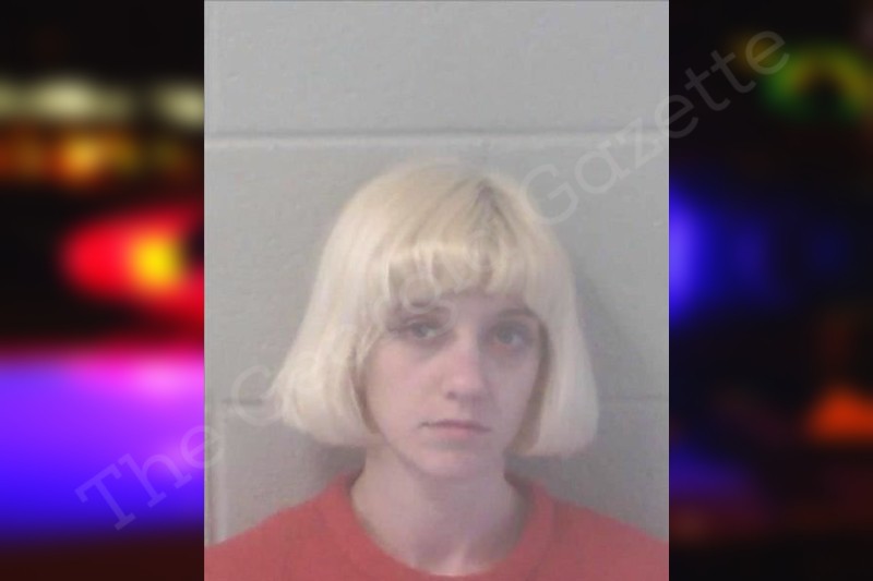 Elizabeth Jenkinson — Newton County Jail Bookings