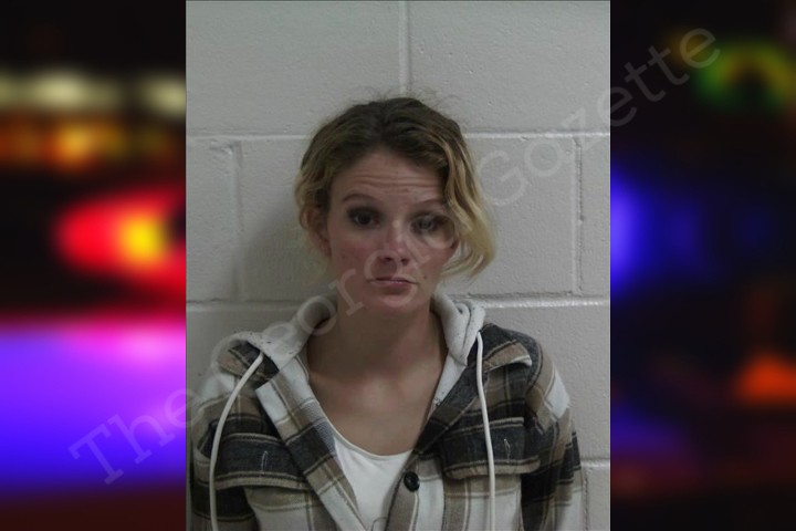 Alexis Jones — Decatur County Jail Bookings