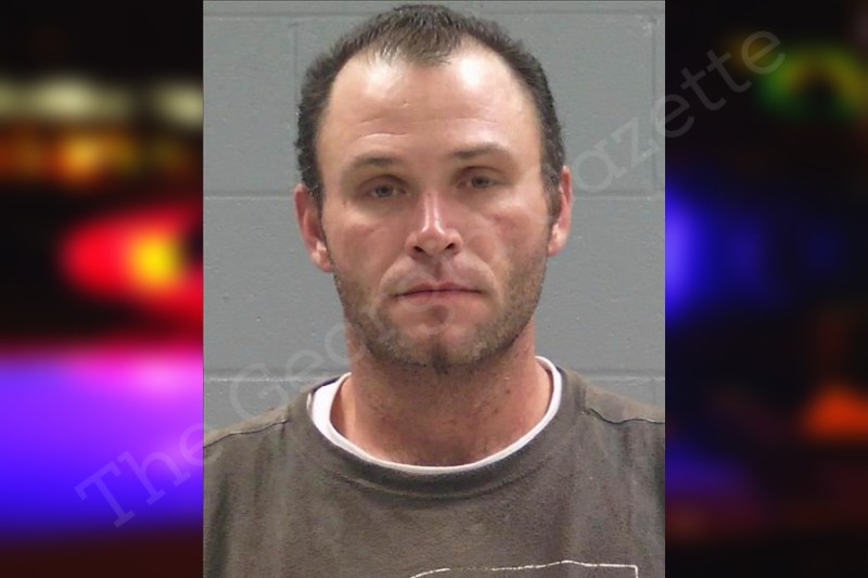 Brandon Jordan — Baldwin County Jail Bookings