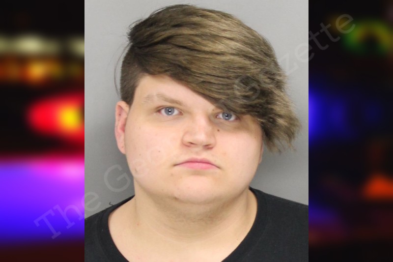 Christopher Joyner — Cobb County Jail Bookings