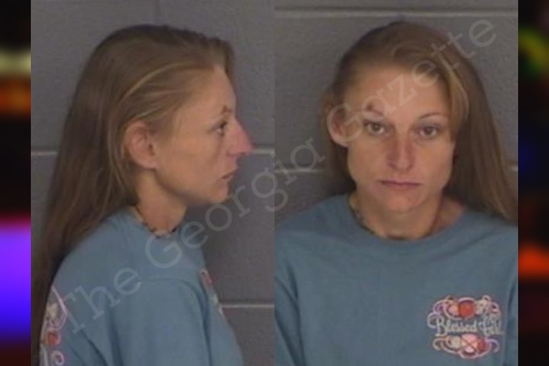 Danielle Johnson — Barrow County Jail Bookings
