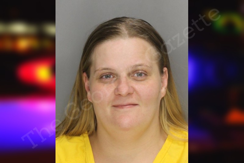 Elizabeth Kelly — Cobb County Jail Bookings