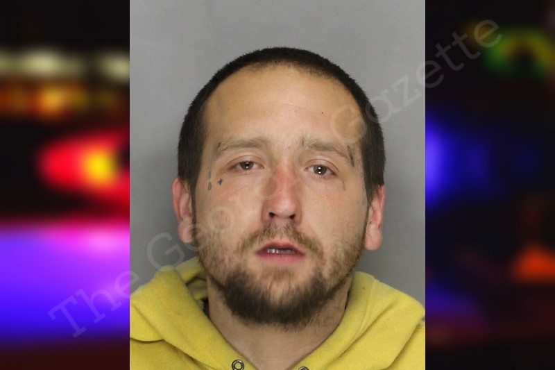 Christopher Larocque — Cobb County Jail Bookings