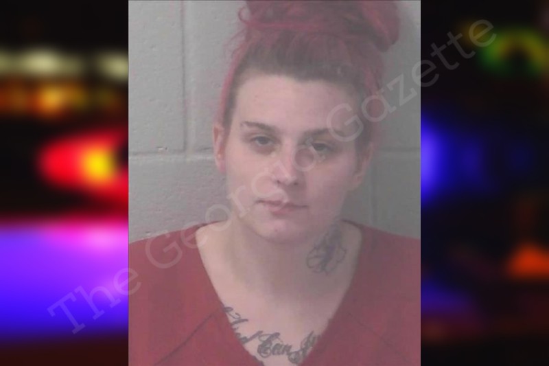 Lisa Lockridge — Newton County Jail Bookings