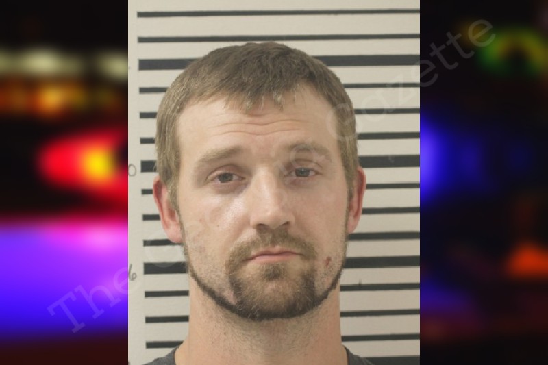 Dustan Love — Toombs County Jail Bookings