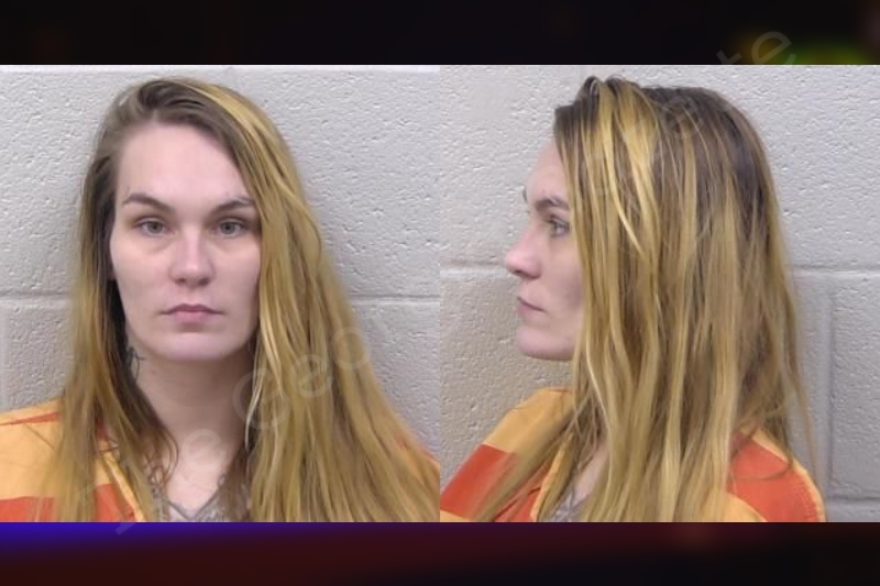 Jamie Land — Paulding County Jail Bookings