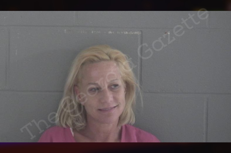 Yancy Lane — Brantley County Jail Bookings