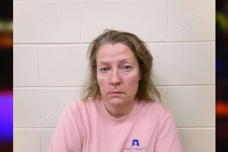 Nancy Lester — Bulloch County Jail Bookings