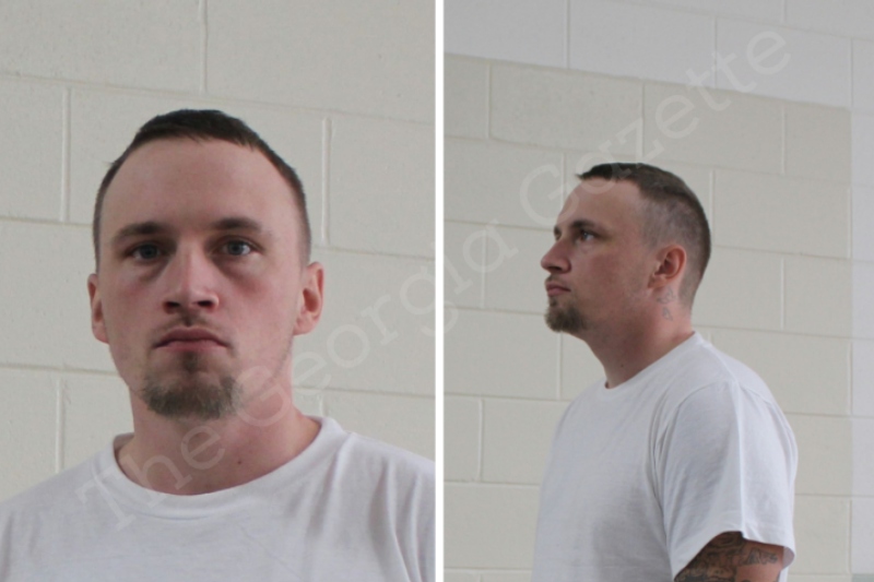 Michael Lilly — Houston County Jail Bookings