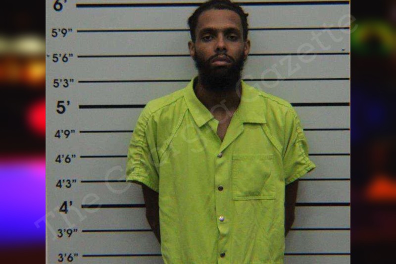 Hanief Logan — Turner County Jail Bookings