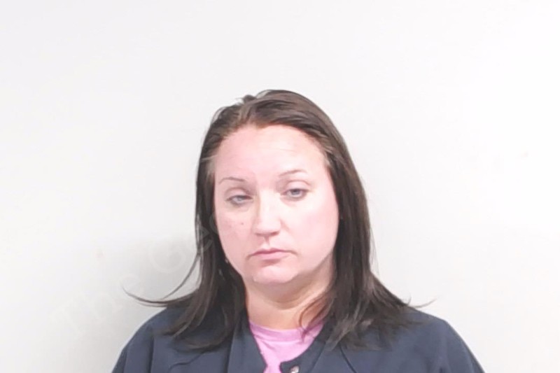Erin Mcduffie — Lowndes County Jail Bookings