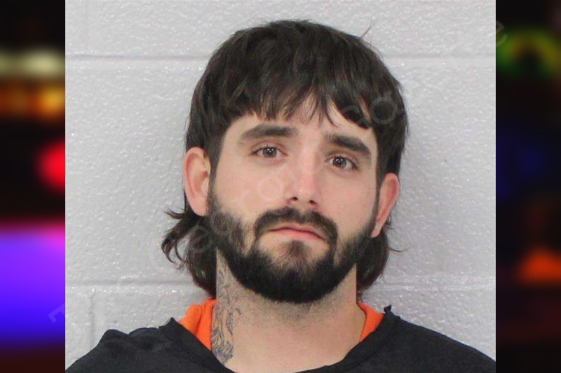 Devan Mcguire — Carroll County Jail Bookings
