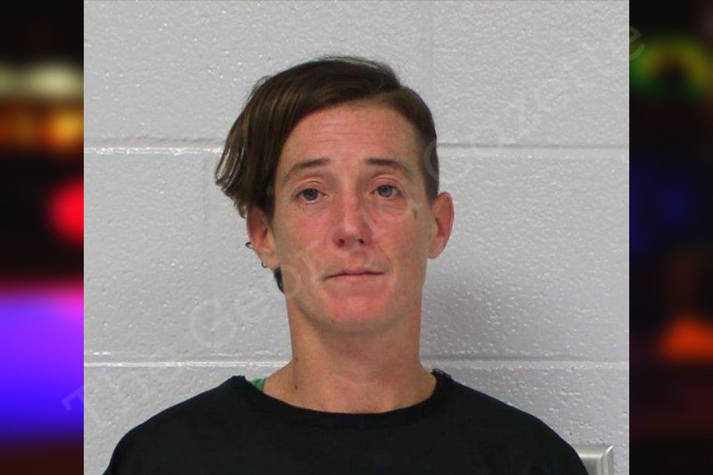 Stephanie Merrell — Carroll County Jail Bookings
