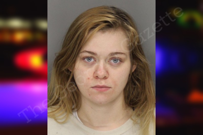 Hannah Morrison — Cobb County Jail Bookings