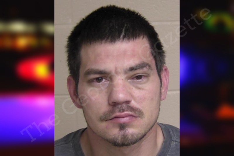 Christopher Martin — Walker County Jail Bookings