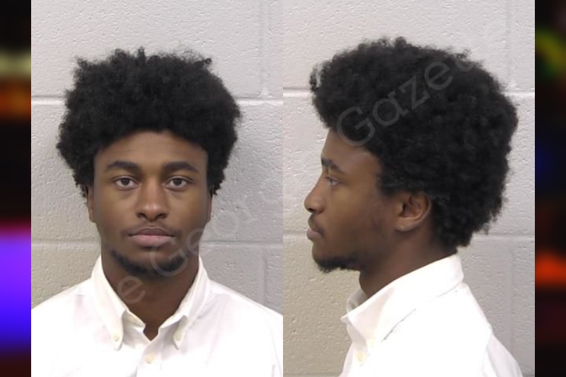 Lucas Mays — Paulding County Jail Bookings