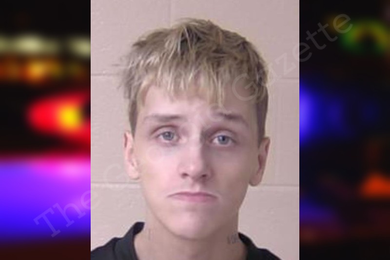 Marcus Morrow — Walker County Jail Bookings