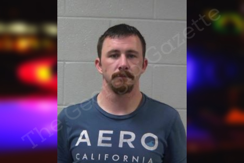 David Mulkey — Gilmer County Jail Bookings