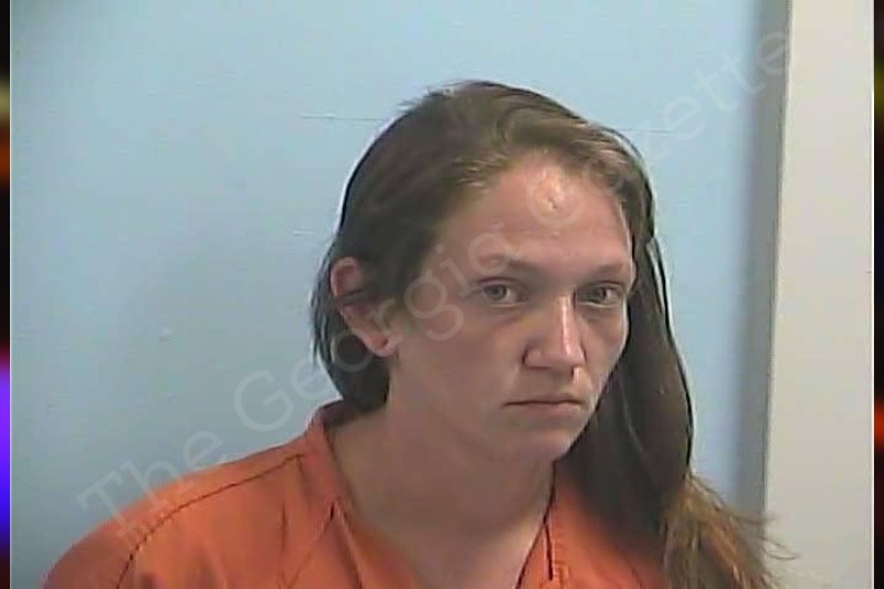 Mary Musgrave — Dawson County Jail Bookings