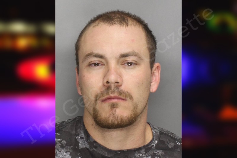 Matthew Nelson — Cobb County Jail Bookings