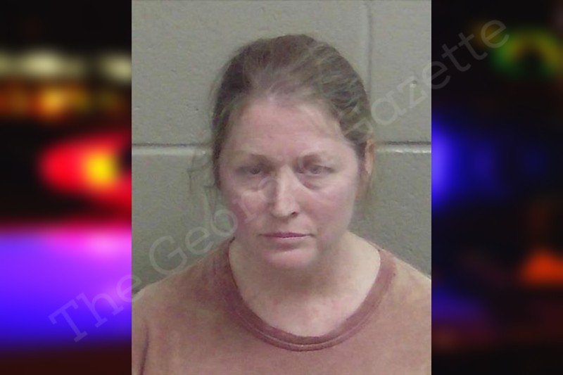 Mary Noland — Wayne County Jail Bookings