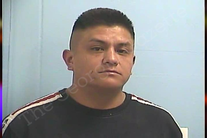 Julio Paulin — Dawson County Jail Bookings