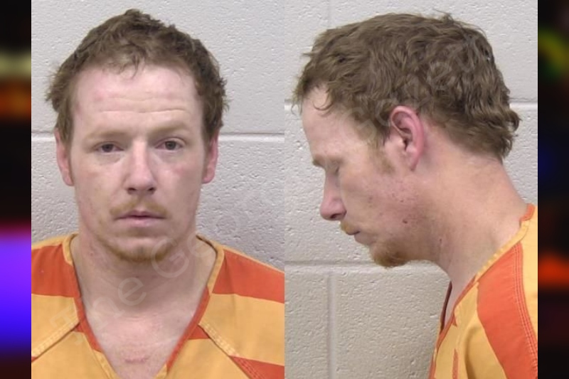 Daniel Perry — Paulding County Jail Bookings