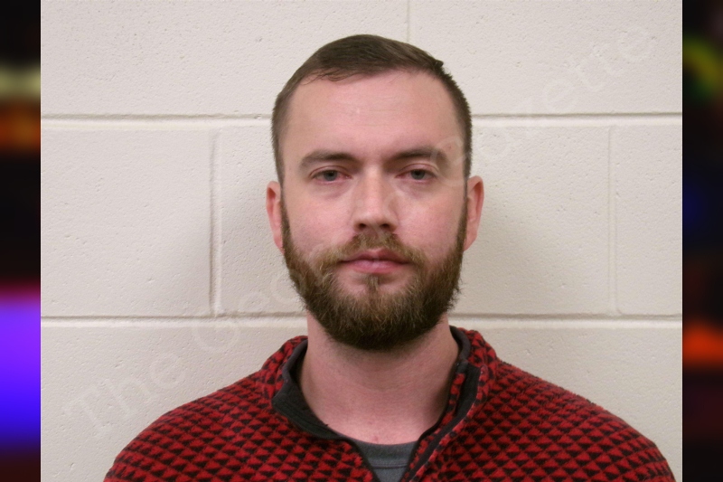 Brandon Poole — Bulloch County Jail Bookings