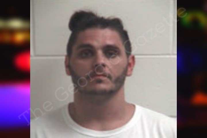 Justin Rawlins — Henry County Jail Bookings