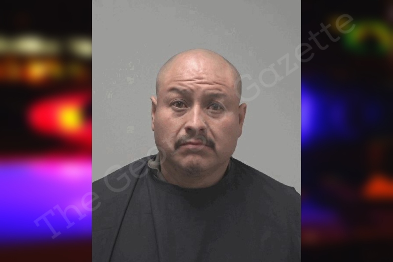 Fidel Ramirez — Coweta County Jail Bookings