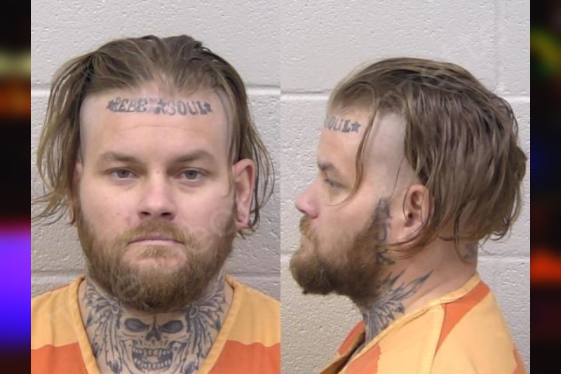 Tyler Reece — Paulding County Jail Bookings